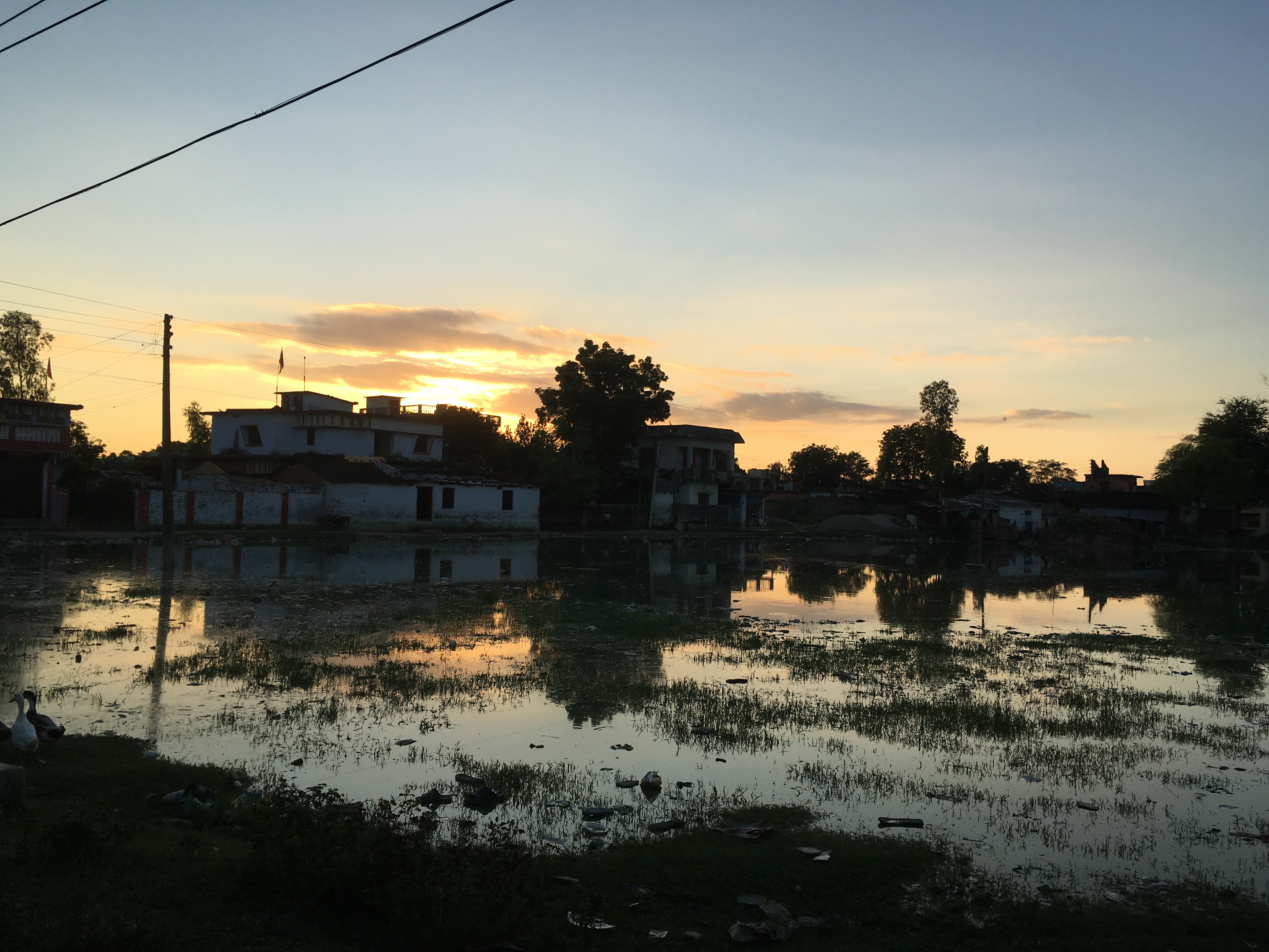 IMG_0476 – Peter Gill