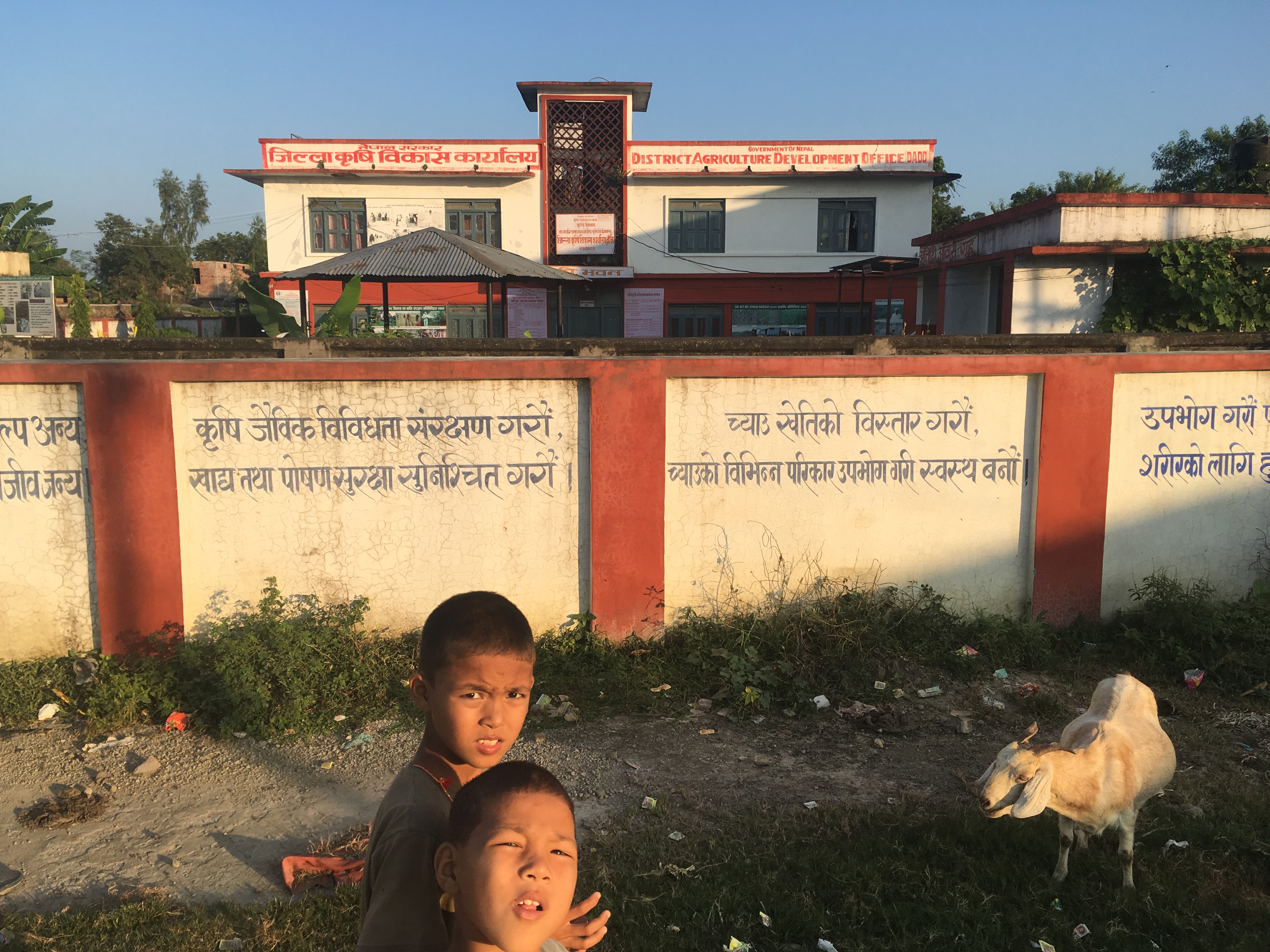 IMG_0601 – Peter Gill